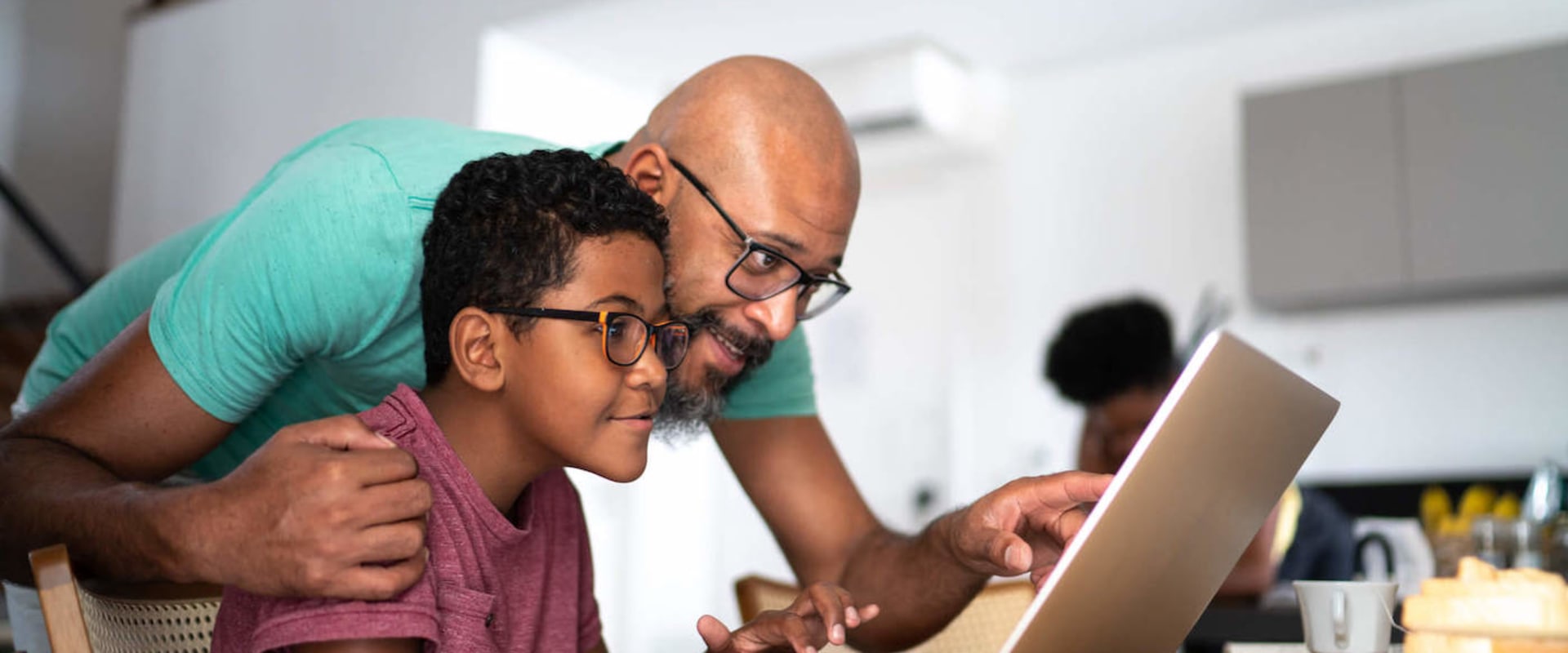 What is the role of an ira custodian?